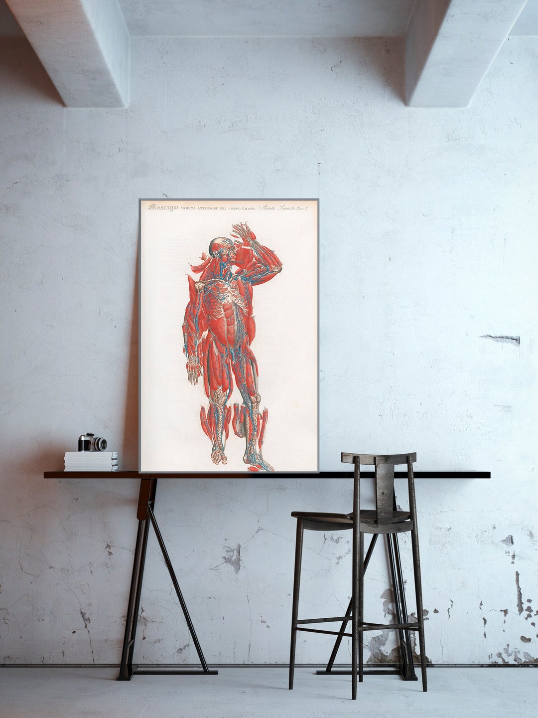 Classic Human Anatomy Illustration, Among the Most Breathtakingly ...