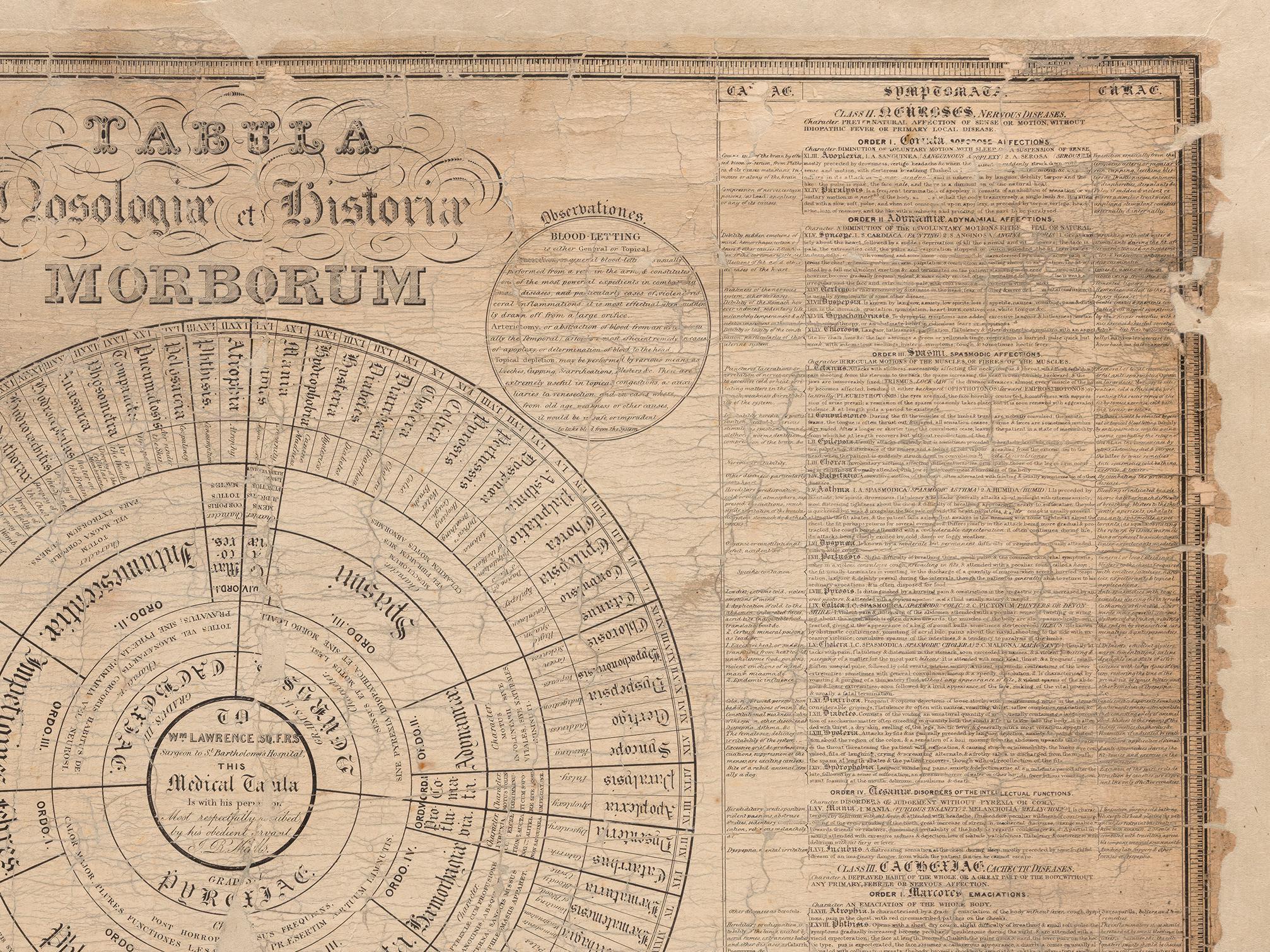 Antique Medical Chart Print : Historic Disease Map for Medical ...