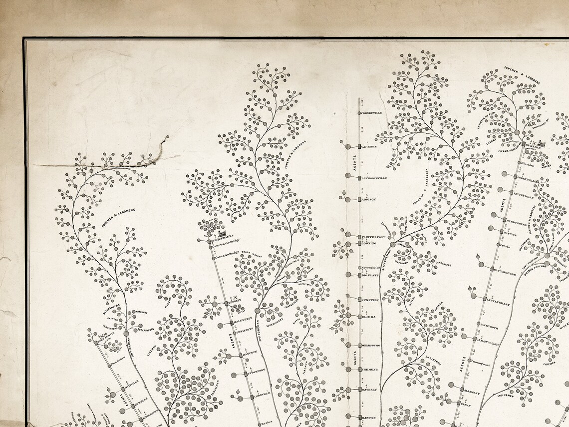 Historical Org Chart First Orgazitational Chart Org Diagram | Etsy