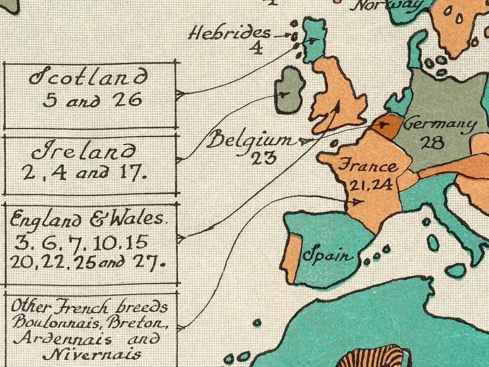 Horse Map of the World Horses Art Print Horses Poster | Etsy Canada