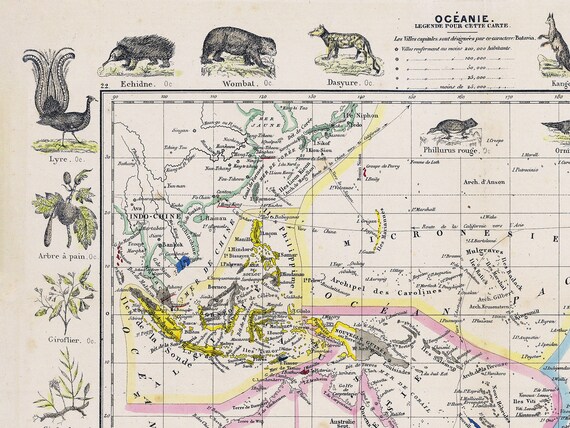 Giclée large Papua New Guinea wall map old Papua New Guinea map Oceania ...
