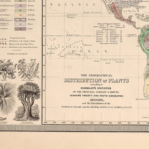 Botanical Geography, Botanical Poster, Botanical Wall Art, Botanical ...