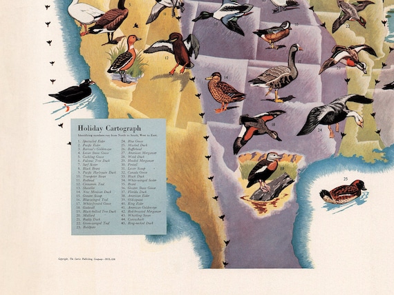 Bird Watching Map