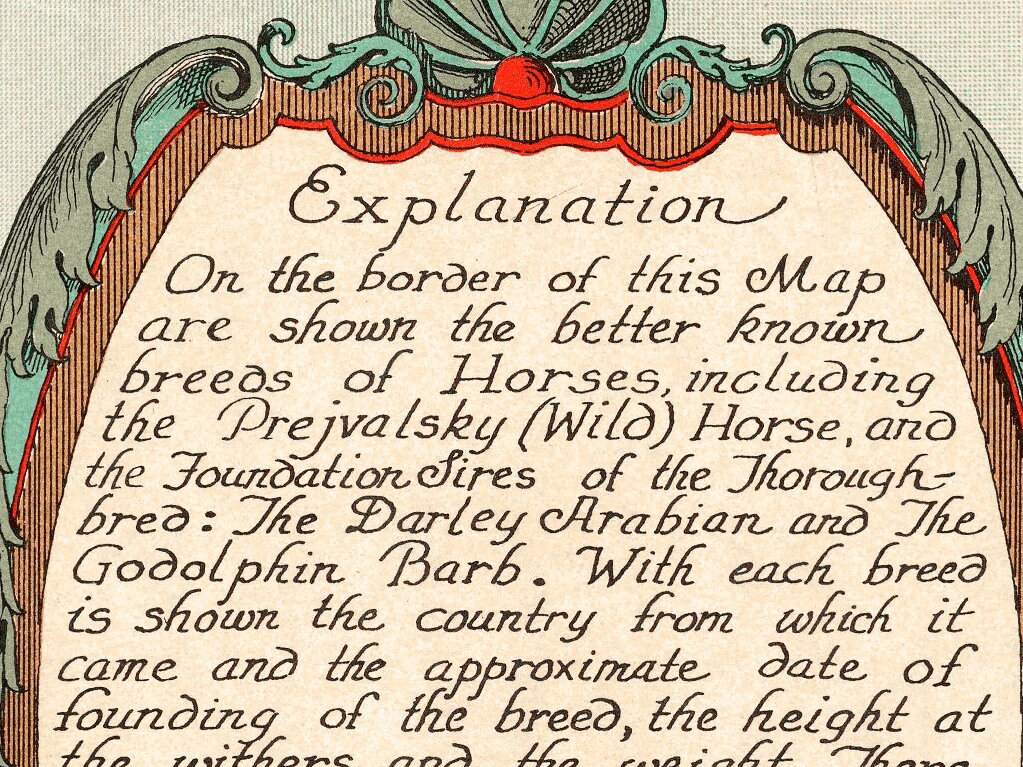 Horse Map of the World Horses Art Print Horses Poster | Etsy Canada