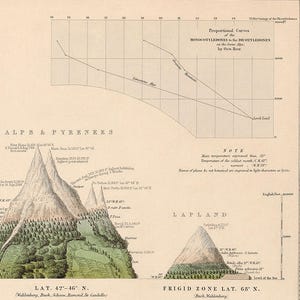 Botanical Geography, Botanical Poster, Botanical Wall Art, Botanical ...