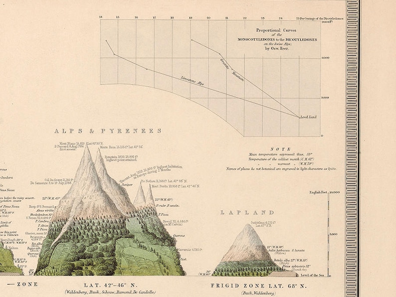 Botanical Geography Botanical Poster Botanical Wall Art | Etsy
