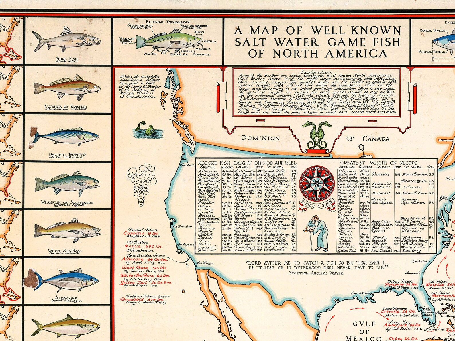 Game Fishes of North America Salt Water Fish Poster Fishing - Etsy