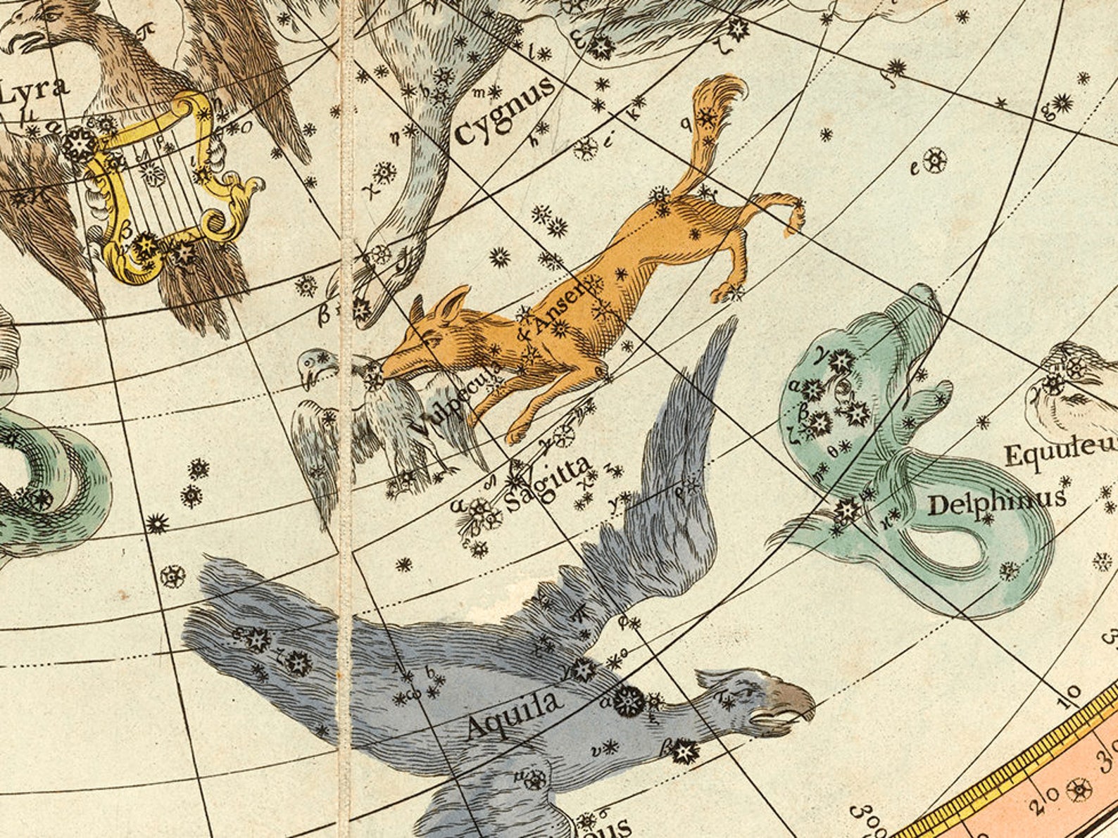 Celestial Map Constellation map Heavens map Astronomical | Etsy
