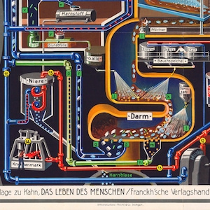 Vintage Poster the Body as a Machine, Iconic Infographic of the Human ...