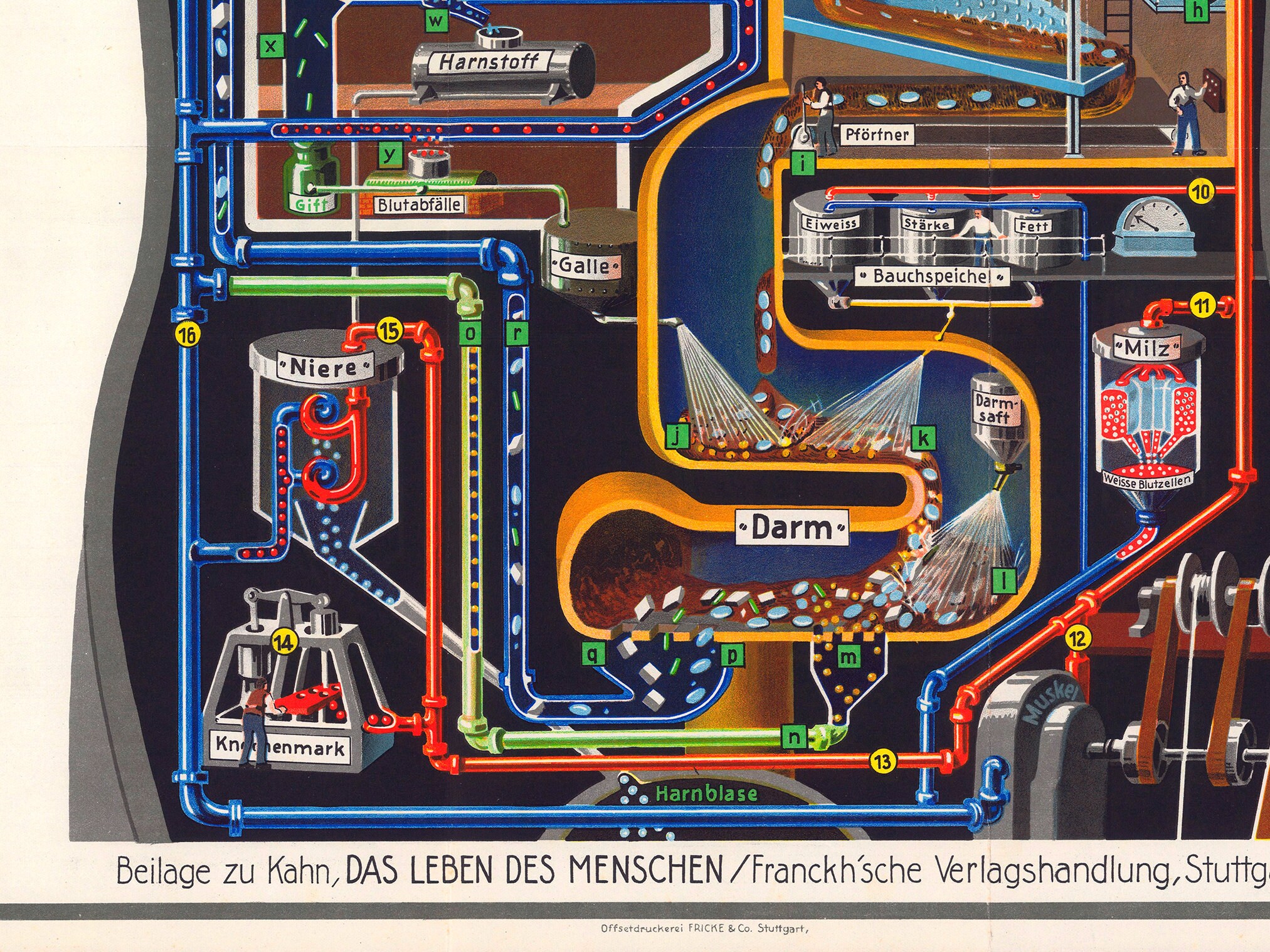 Vintage Poster the Body as a Machine Iconic Infographic of - Etsy