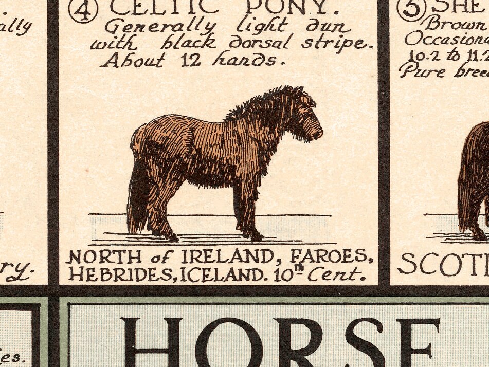 Horse Map of the World Horses Art Print Horses Poster | Etsy Canada