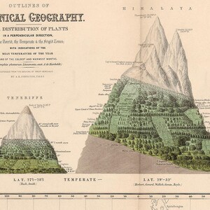 Botanical Geography, Botanical Poster, Botanical Wall Art, Botanical ...