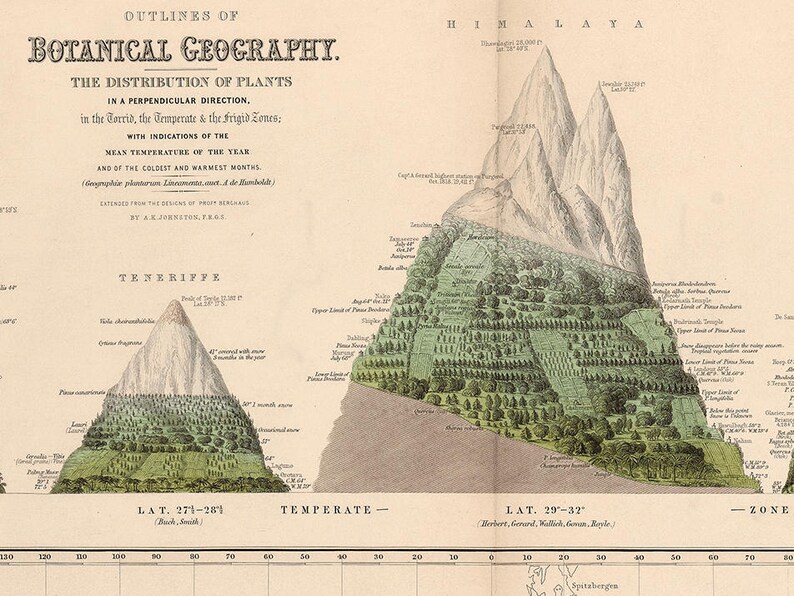 Botanical Geography Botanical Poster Botanical Wall Art | Etsy