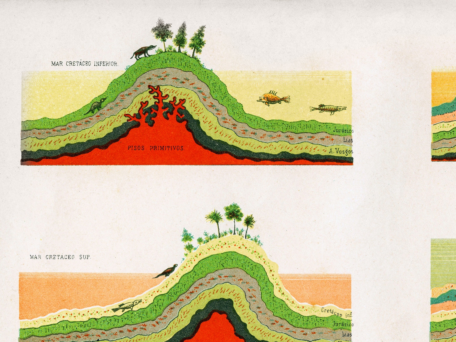 Antique Geology Illustration Geology Art Geology Wall Art - Etsy