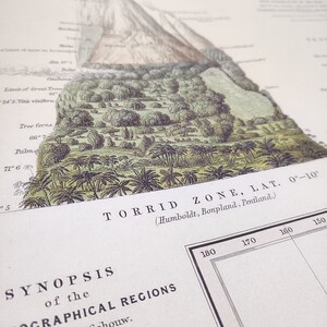 Botanical Geography, Botanical Poster, Botanical Wall Art, Botanical ...