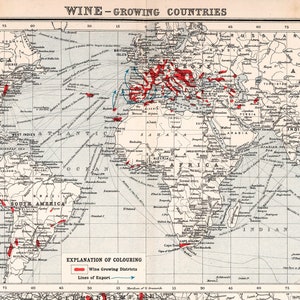 Wine Map of the World, Viticulture, Wine Art Print, Wine Poster Map ...