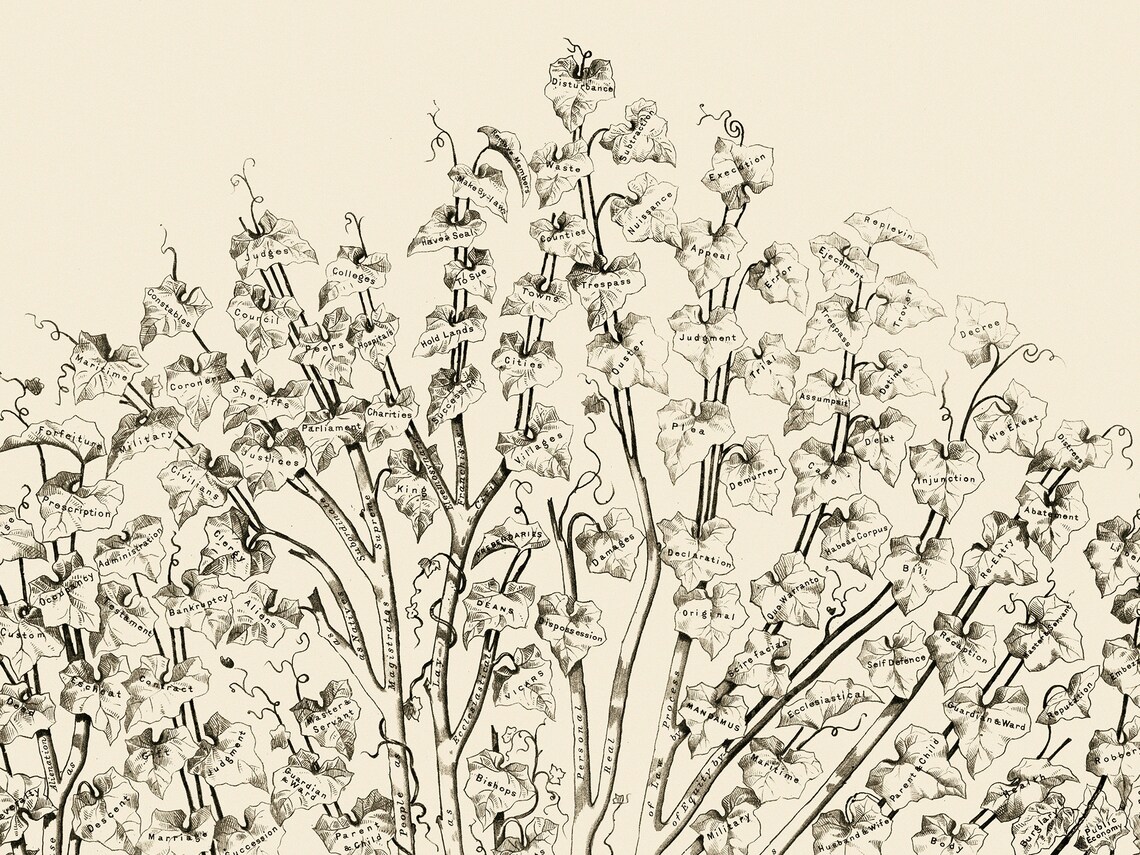 The Common Law Tree Chart Poster Ethics Morals Rights - Etsy