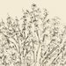 The Common Law Tree Chart Poster, Ethics, Morals, Rights, Wrongs, Wall ...