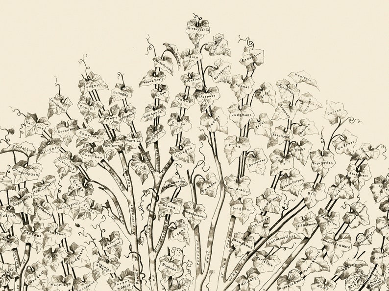 The Common Law Tree Chart Poster Ethics Morals Rights - Etsy