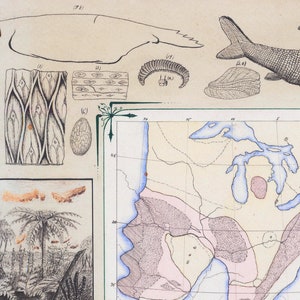 Old Geology Map Showing the Distribution of Carboniferous Strata Across ...