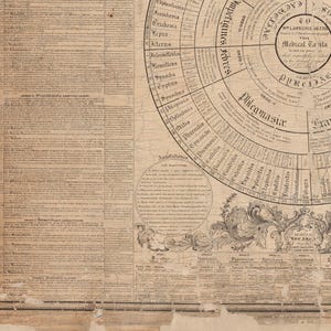 Antique Medical Chart Print : Historic Disease Map for Medical ...