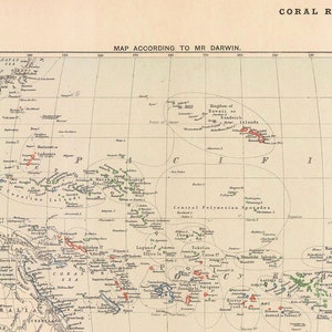 Coral Reefs in the Pacific Ocean,by Charles Darwin and Lechmere Guppy ...