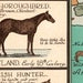Horse Map of the World Horses Art Print Horses Poster Map - Etsy