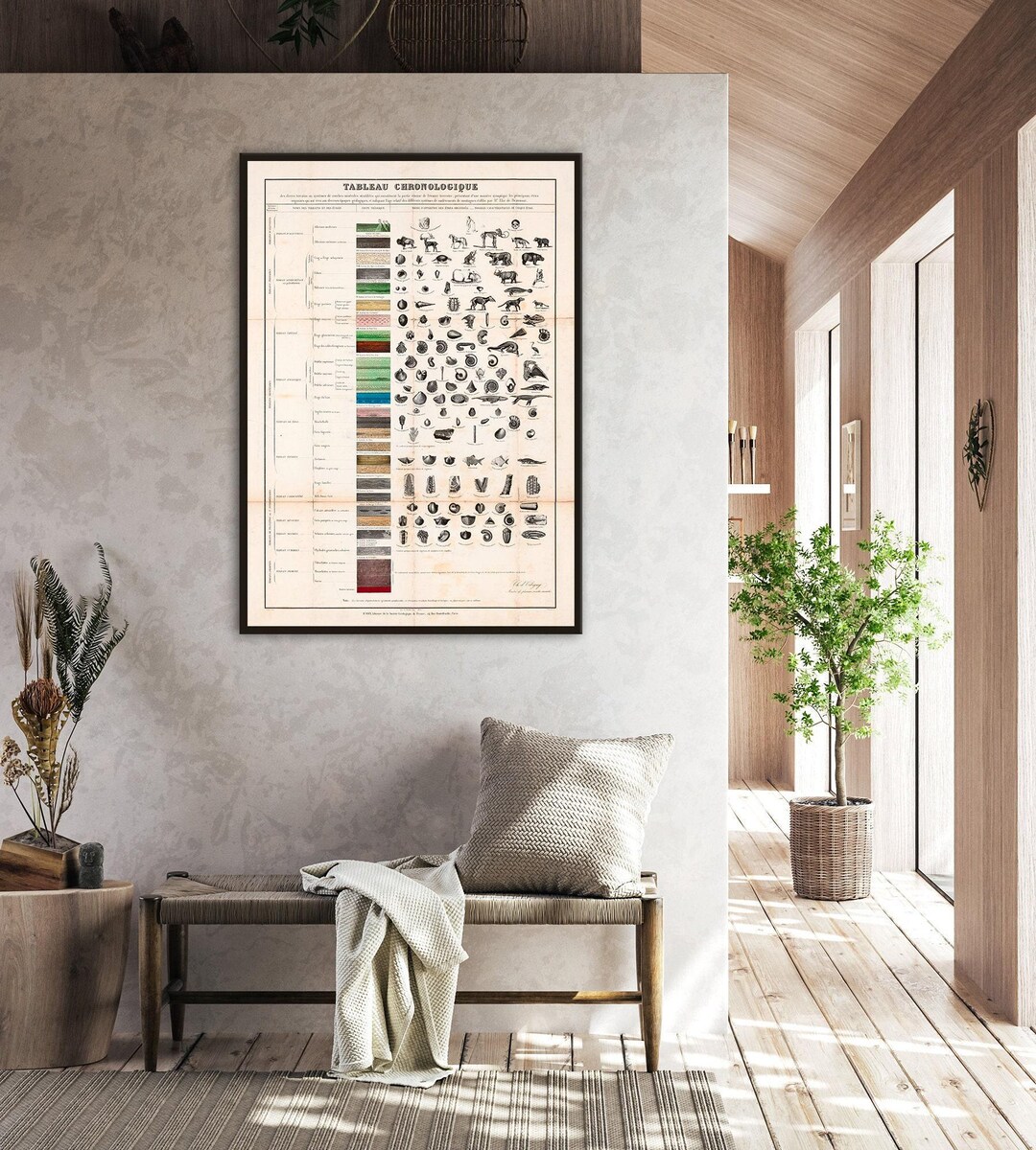 Vintage Geology Chart Print: French Chronological Time Scale - Etsy UK