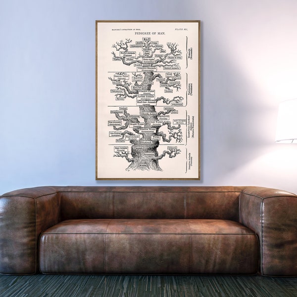 Human Evolution Poster - Etsy