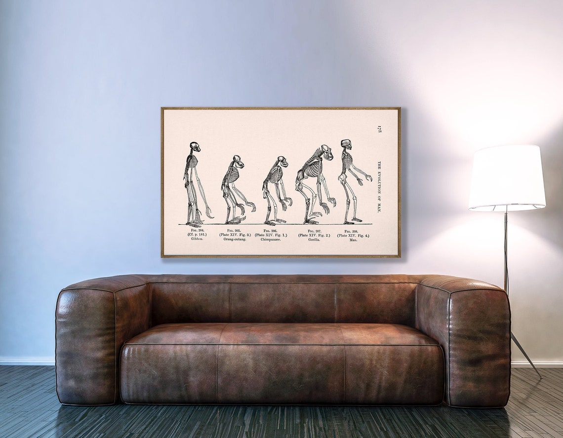 March of Progress the Evolution of Man From Ape Ancestors to - Etsy