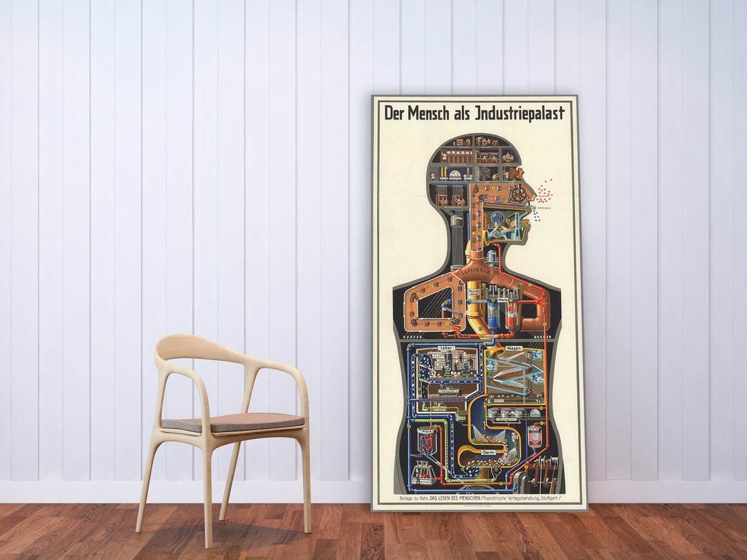 Vintage Poster the Body as a Machine, Iconic Infographic of the Human ...