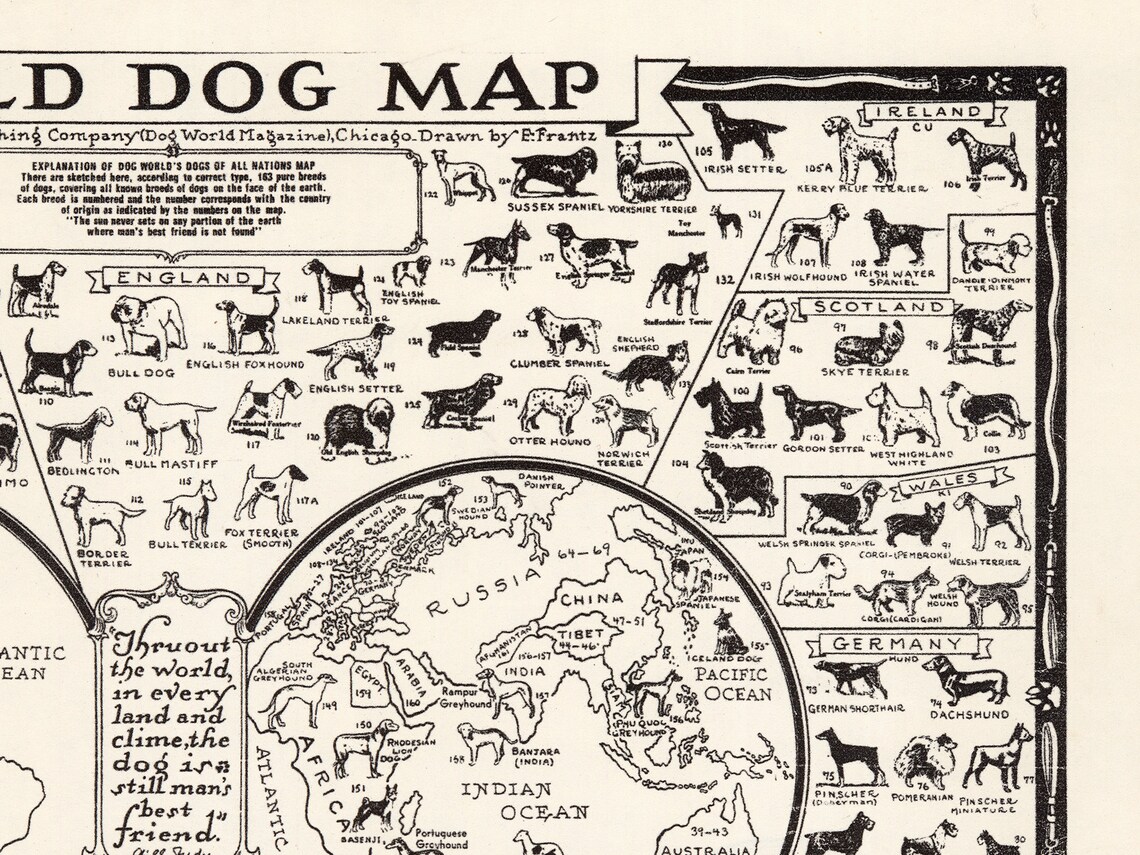 Dogs art map breeds of dogs dog breeds print dog breeds | Etsy