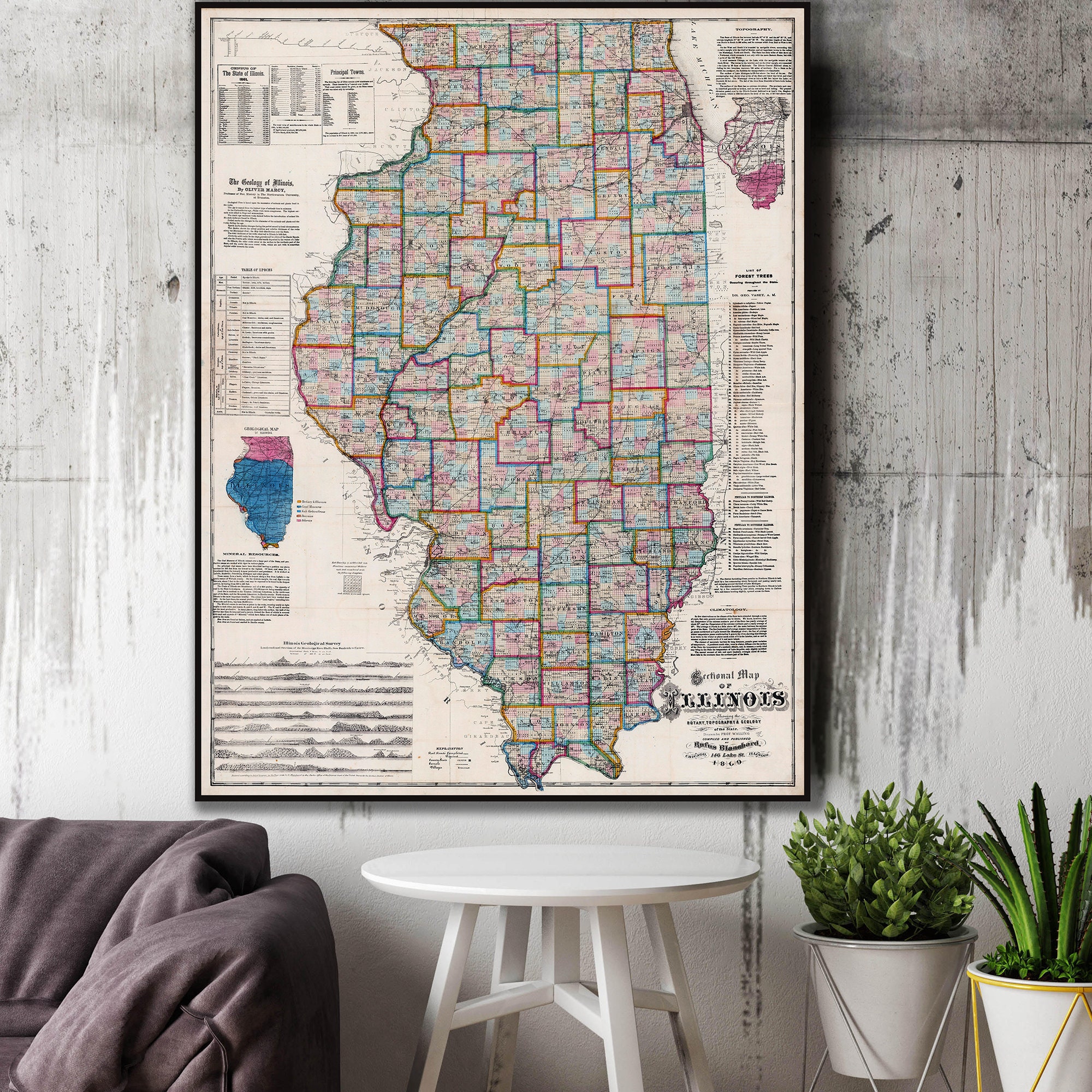 Vintage Map of Illinois Old Illinois Map Geological - Etsy