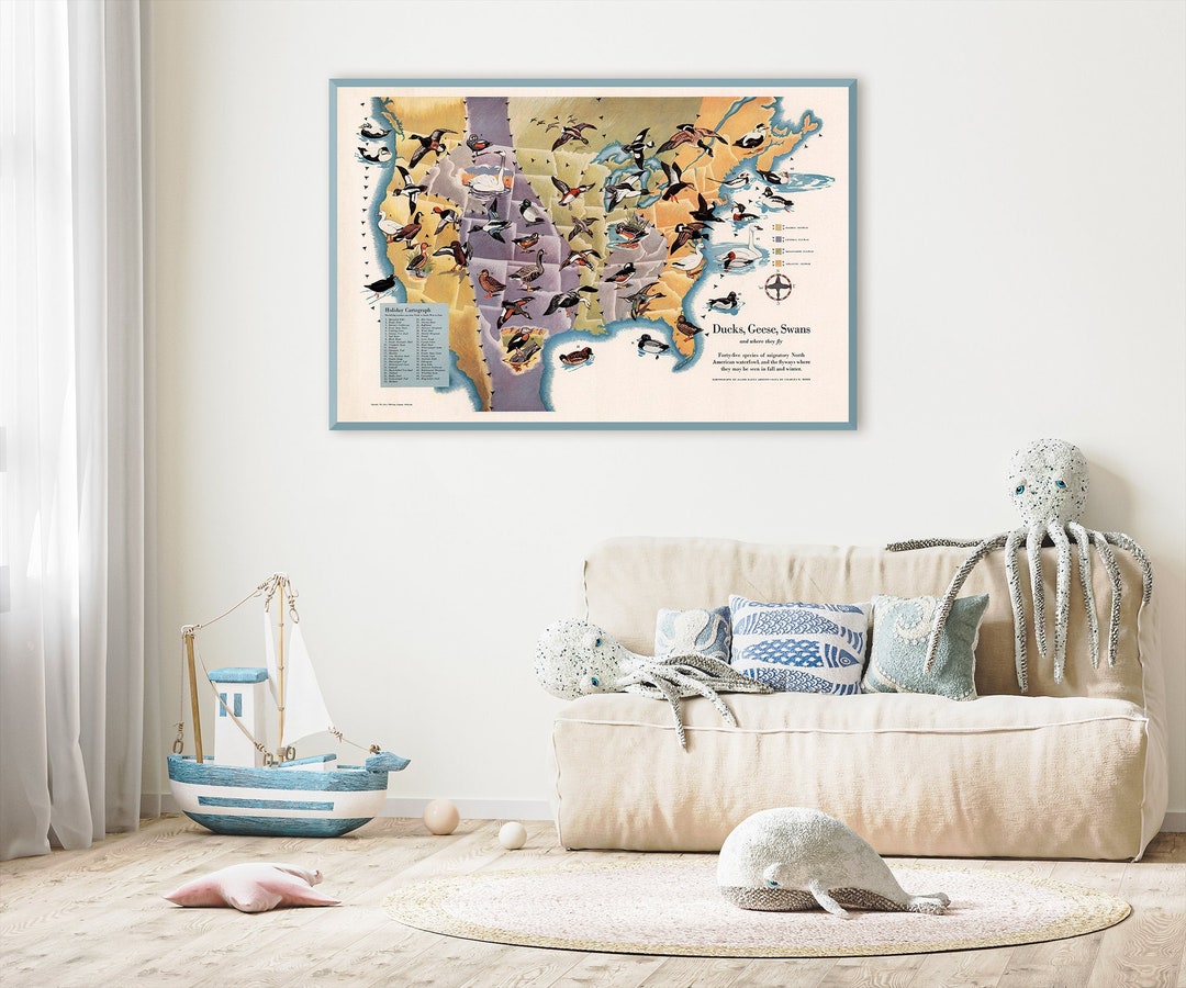 Migrating Birds Map, Migration Routes, Forty-five Species of Migratory ...