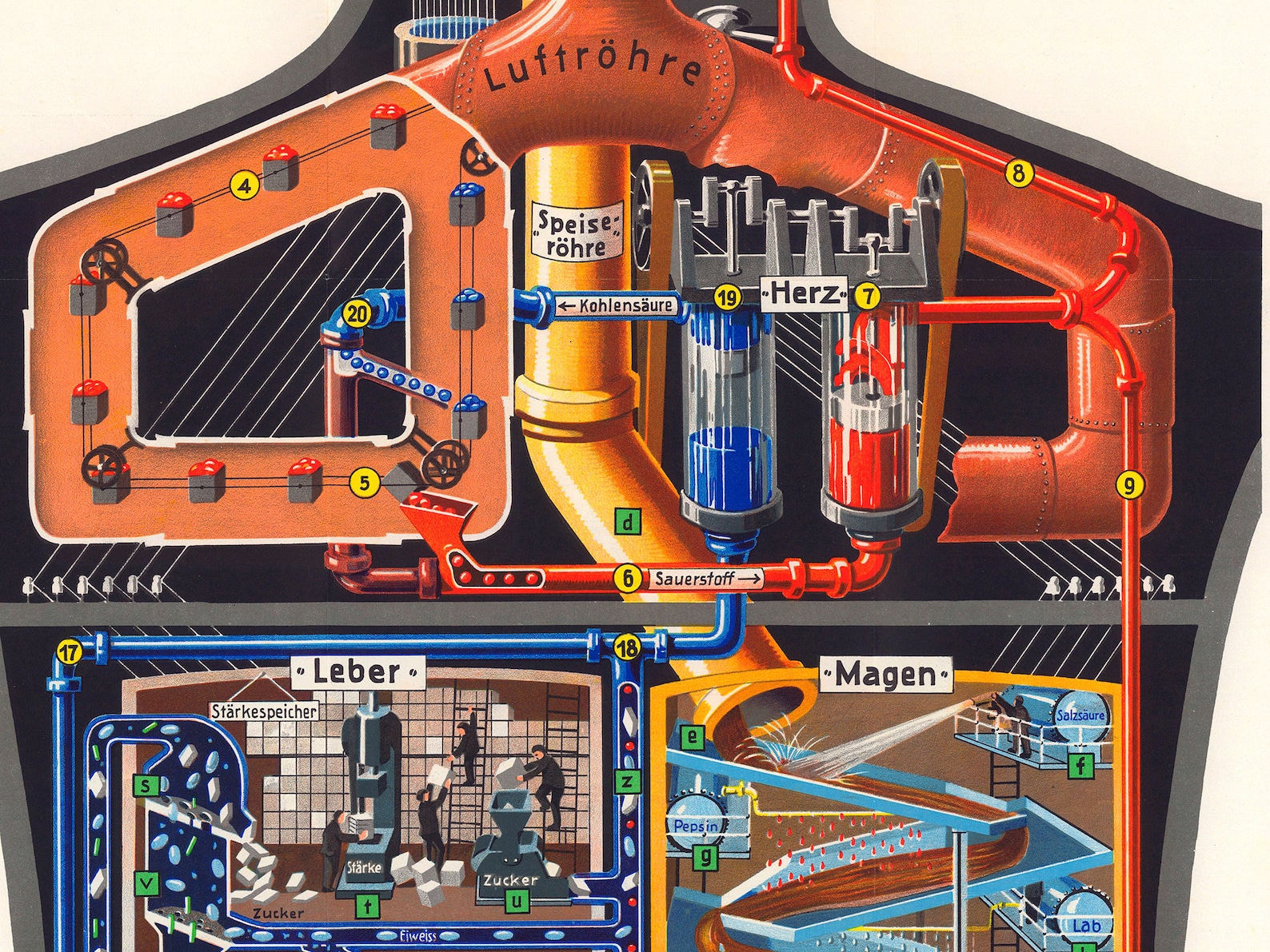 Vintage Poster the Body as a Machine Iconic Infographic of - Etsy