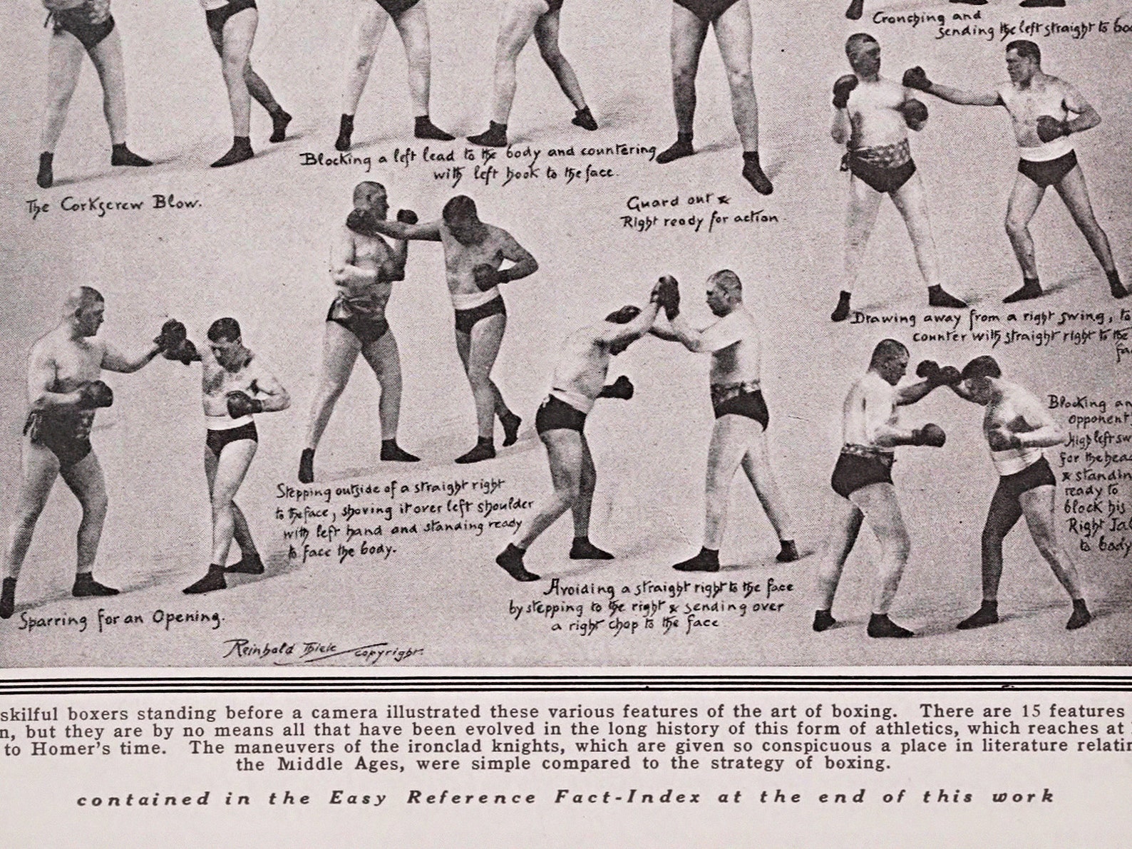 Old Boxing Poster Boxing Print Boxer's Art Boxing Wall - Etsy