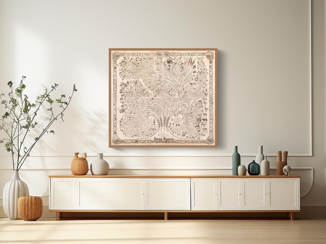 Tree of Life Art, Animal Kingdom Chart, Animal Species Illustration ...