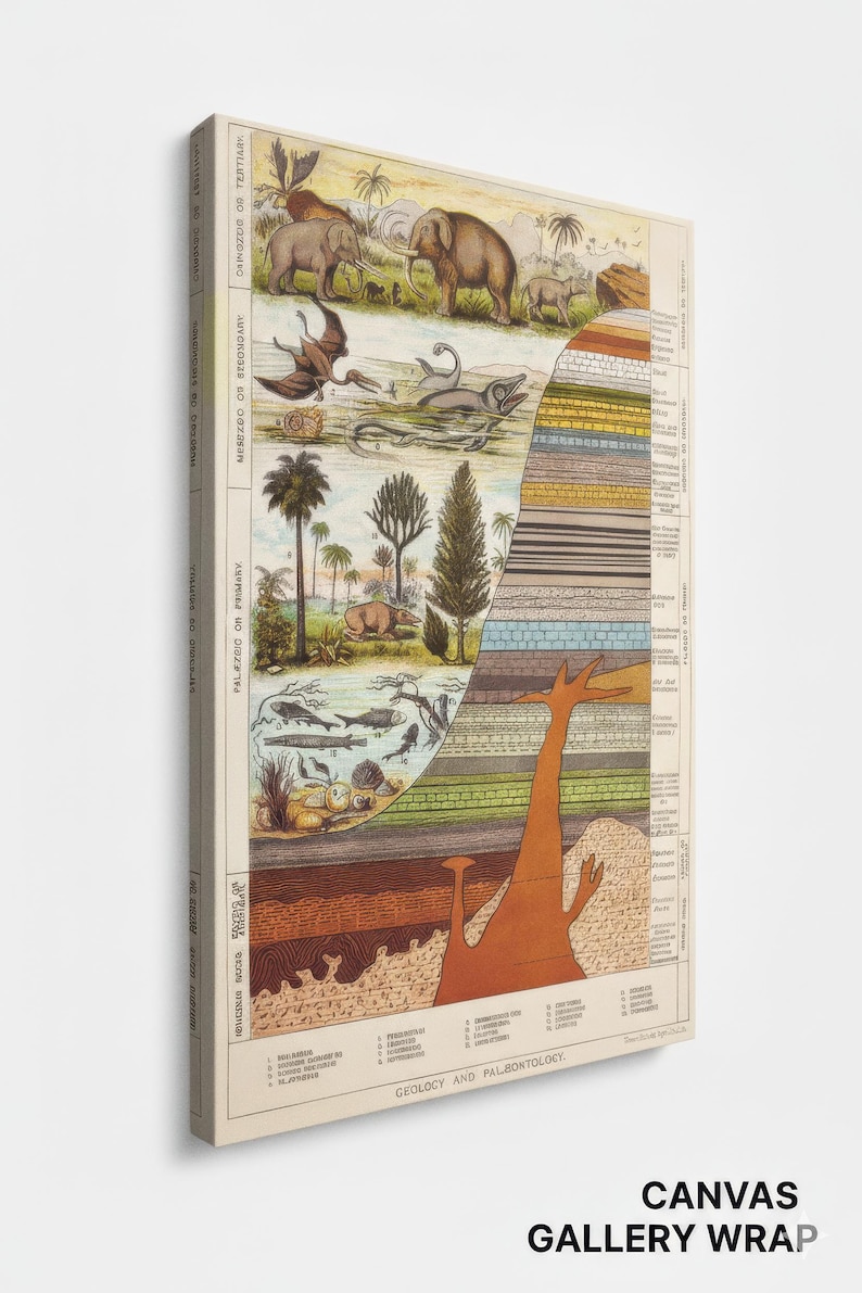 Geology Poster: Geological Eras, Rock Strata, Flora & Fauna - Etsy