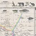 Vintage Map of Oceania, Old Papua New Guinea Map, Large Papua New ...