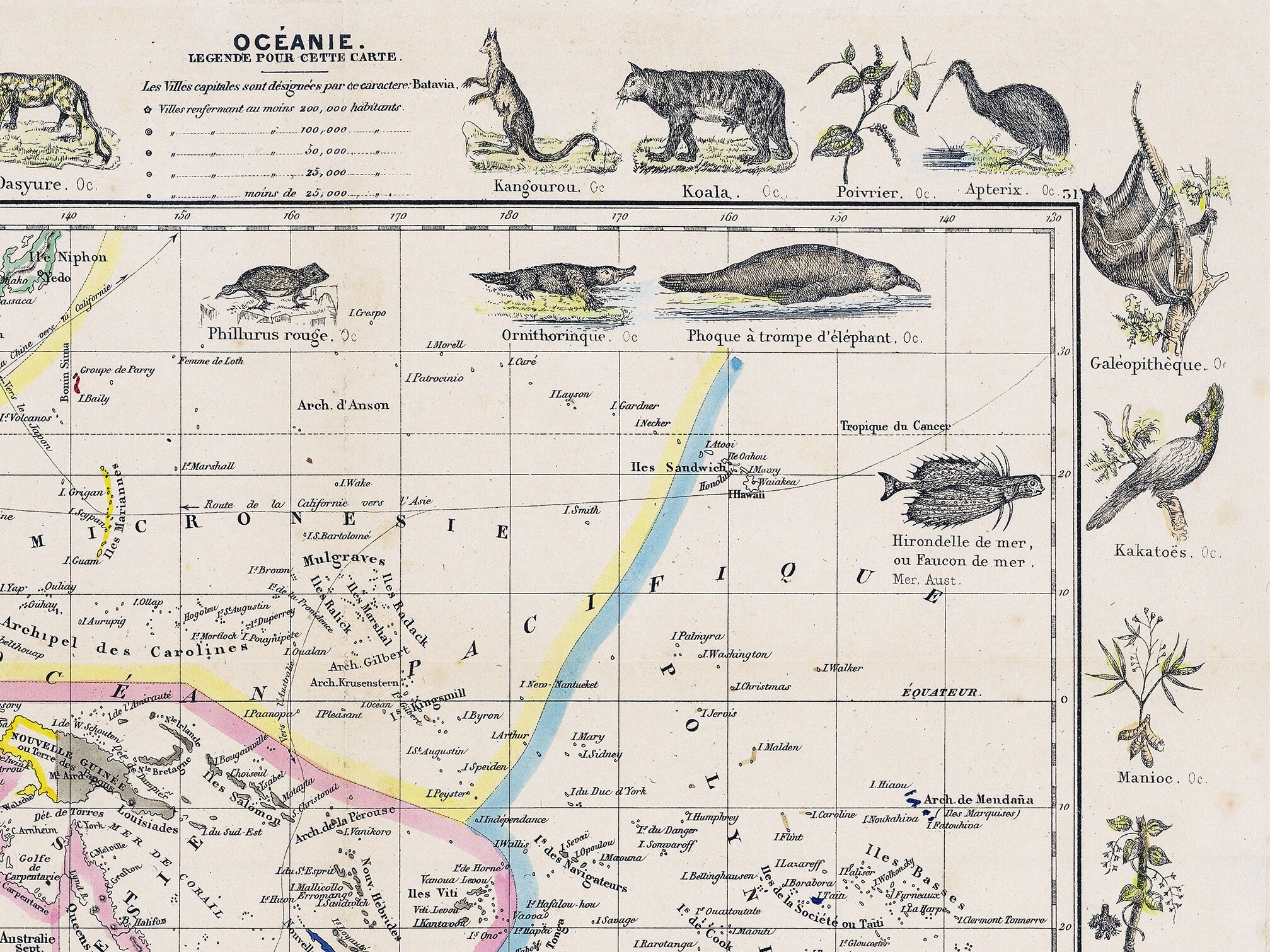 Giclée large Papua New Guinea wall map old Papua New Guinea map Oceania ...