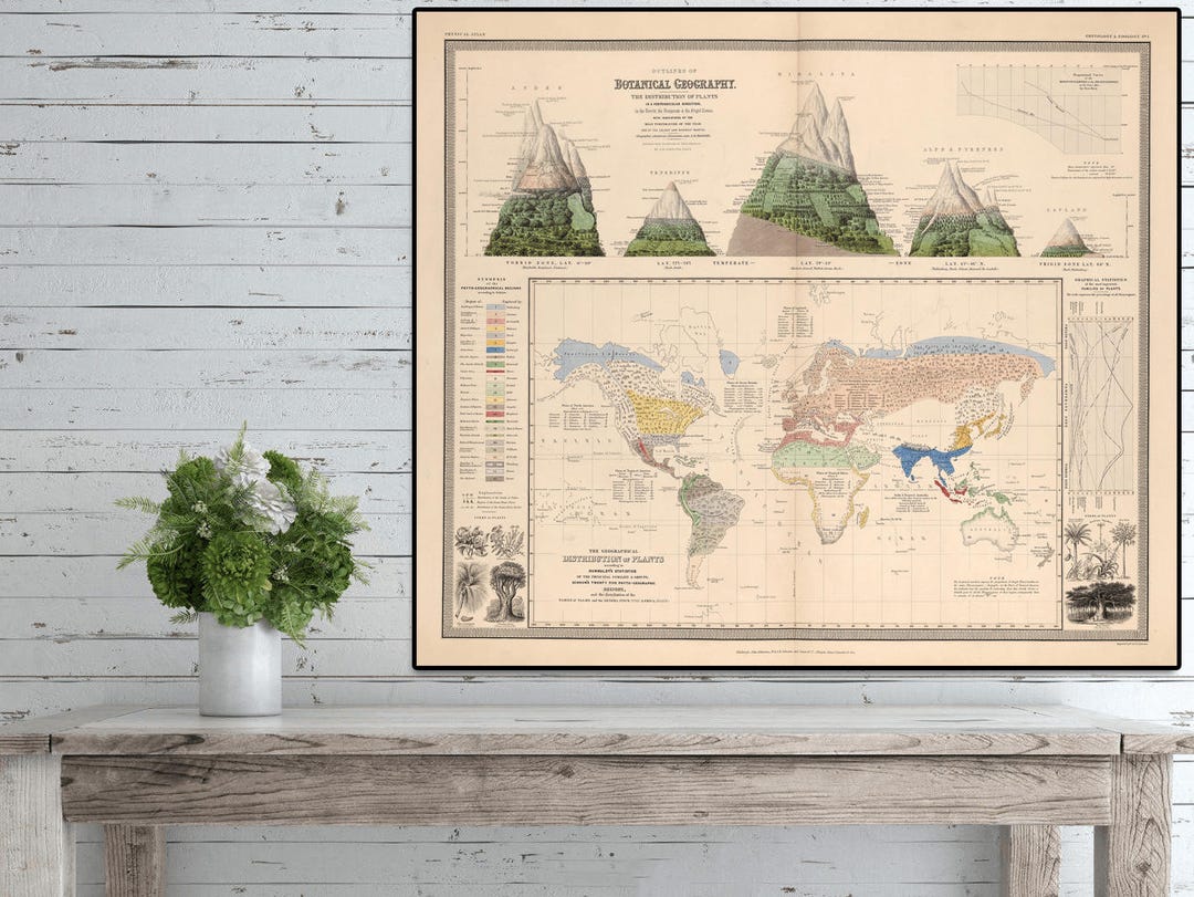 Botanical Geography, Botanical Poster, Botanical Wall Art, Botanical ...