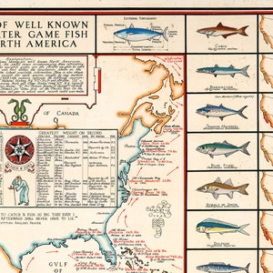 Game Fishes of North America, Salt Water Fish Poster, Fishing Gifts ...