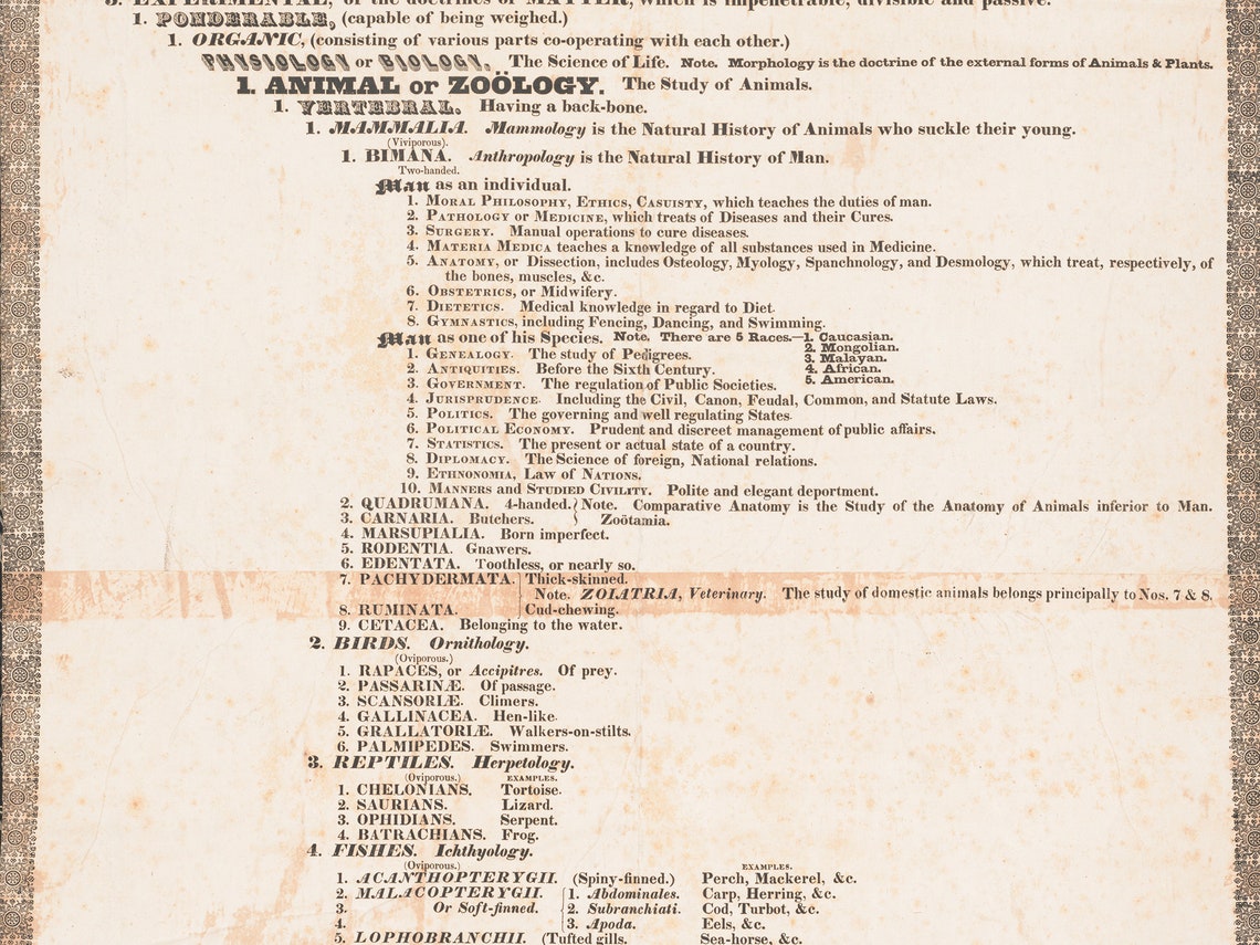 Vintage Science Class Art Knowledge Chart Old Education - Etsy