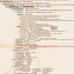 Vintage Science Class Art, Knowledge Chart, Old Education Chart, Visual ...