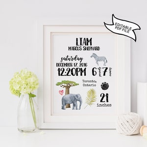 Baby Birth Stats Nursery Birth Announcement EDITABLE PRINTABLE - Etsy