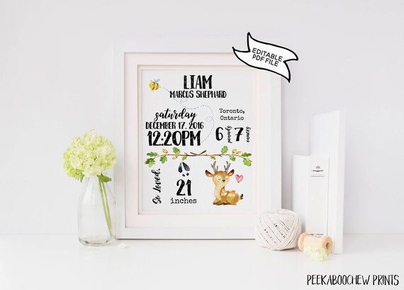 Baby Birth Stats Nursery Birth Announcement EDITABLE PRINTABLE | Etsy