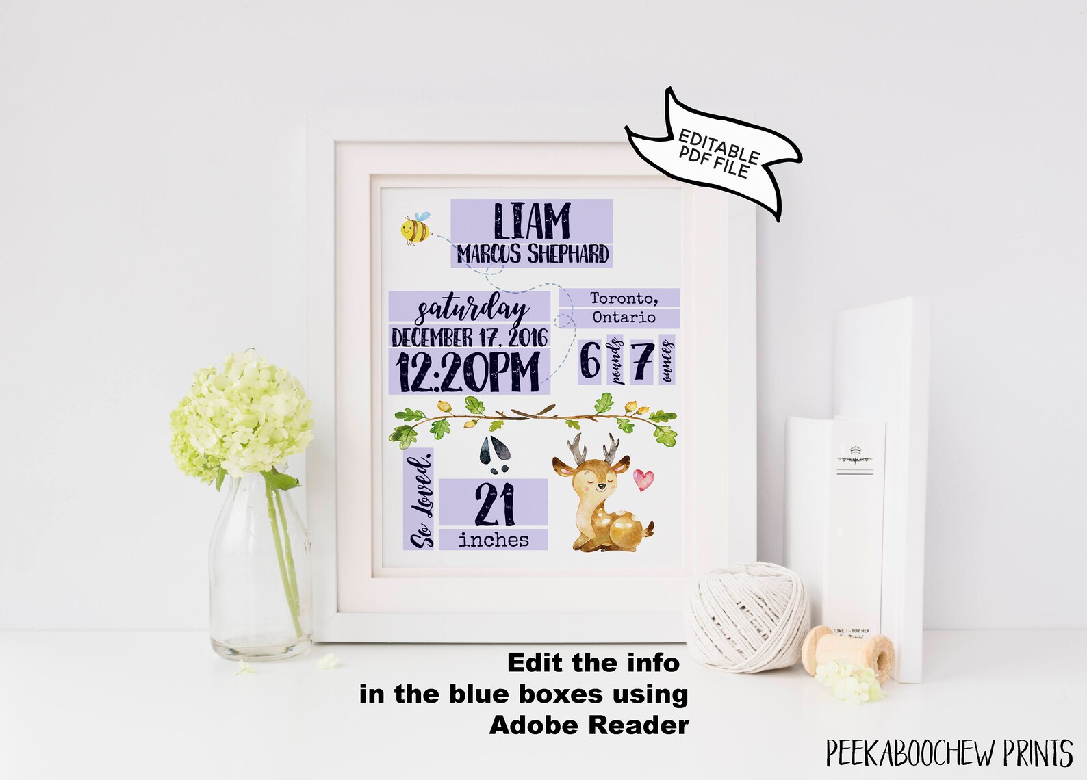 Baby Birth Stats Nursery Birth Announcement EDITABLE PRINTABLE - Etsy