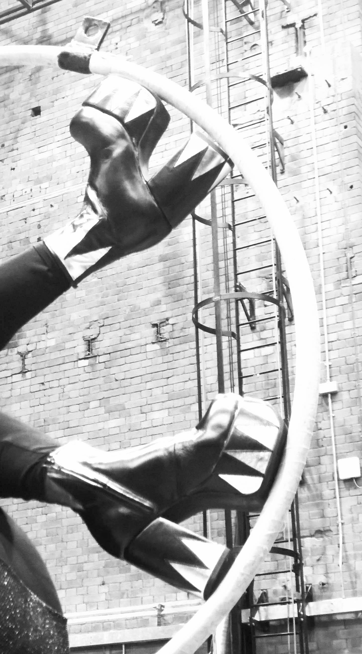 RINGMASTER Platform Glam Circus Boots Isabella Mars Black - Etsy Canada