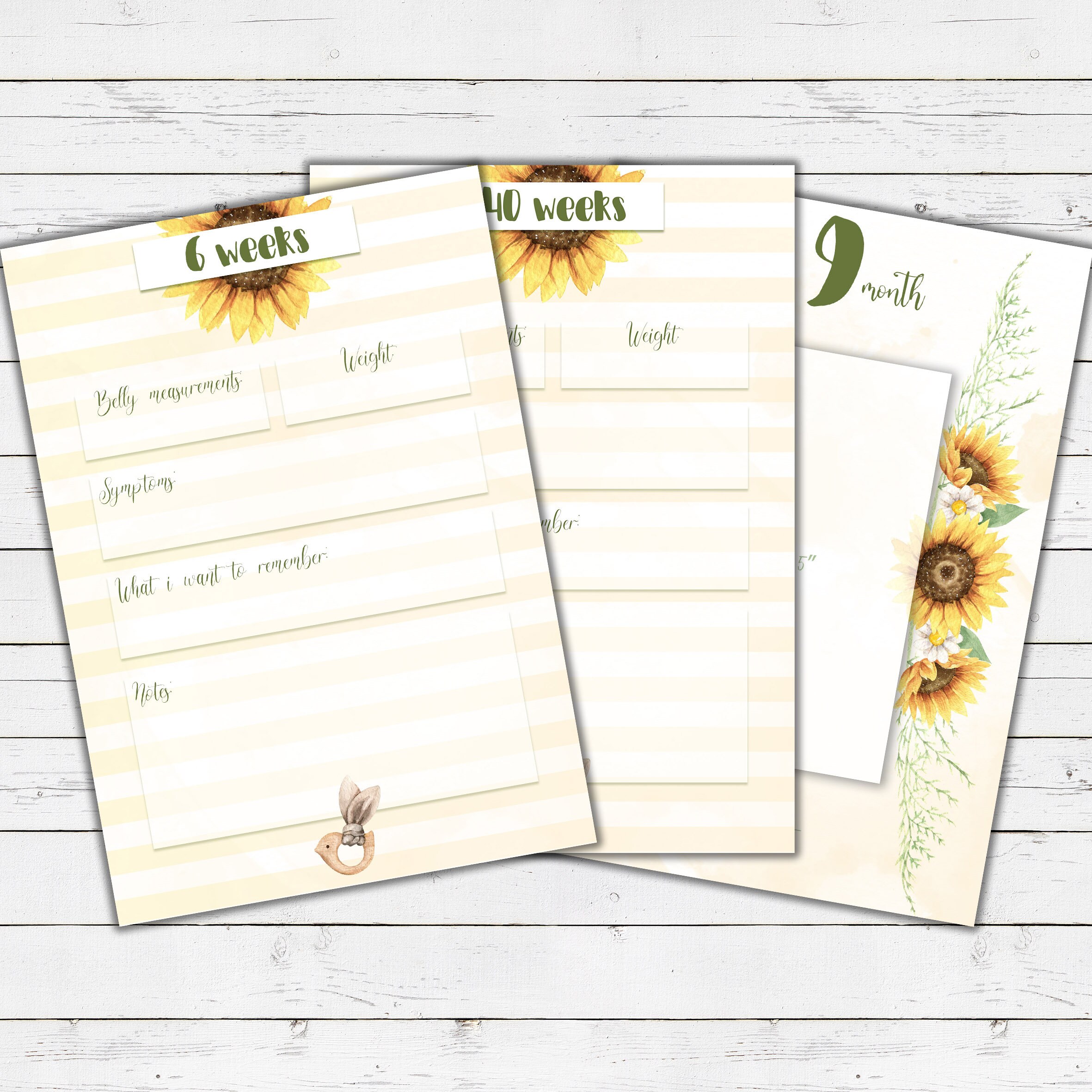 Printable Pregnancy Journal Digital Pregnancy Planner Bump - Etsy