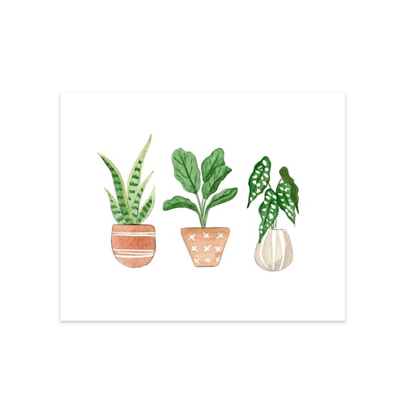 Plant Drawing Tumblr